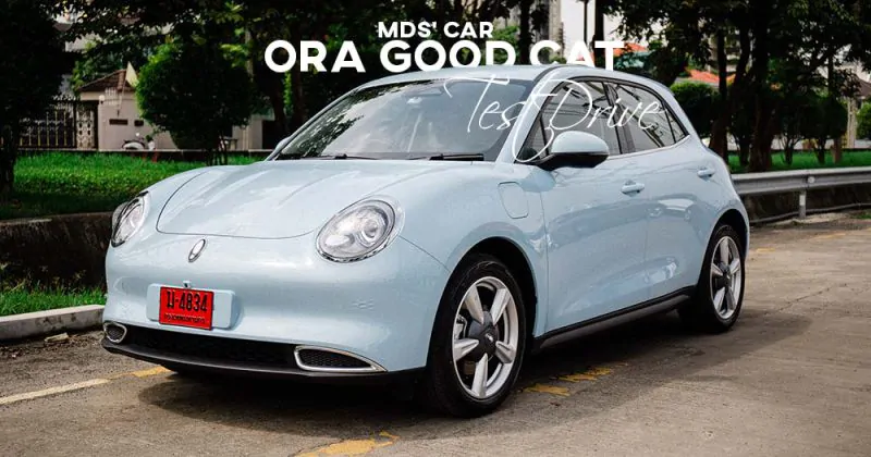 00-head-ORA-good-cat-blue-oct21 - MenDetails